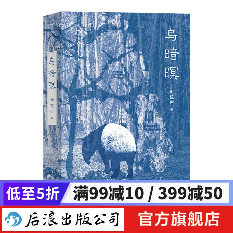乌暗暝 北京大学“世界华文文学奖”获奖作品《雨》作者 马华文学重量级作家黄锦树作品集 后浪