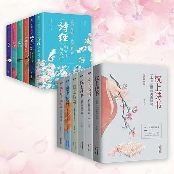 枕上诗书系列全套6册诗词传全集闲出好诗经董卿版中国画墨上花开收藏版一本书 12册 枕上诗书全6册+醉美古诗词全6册