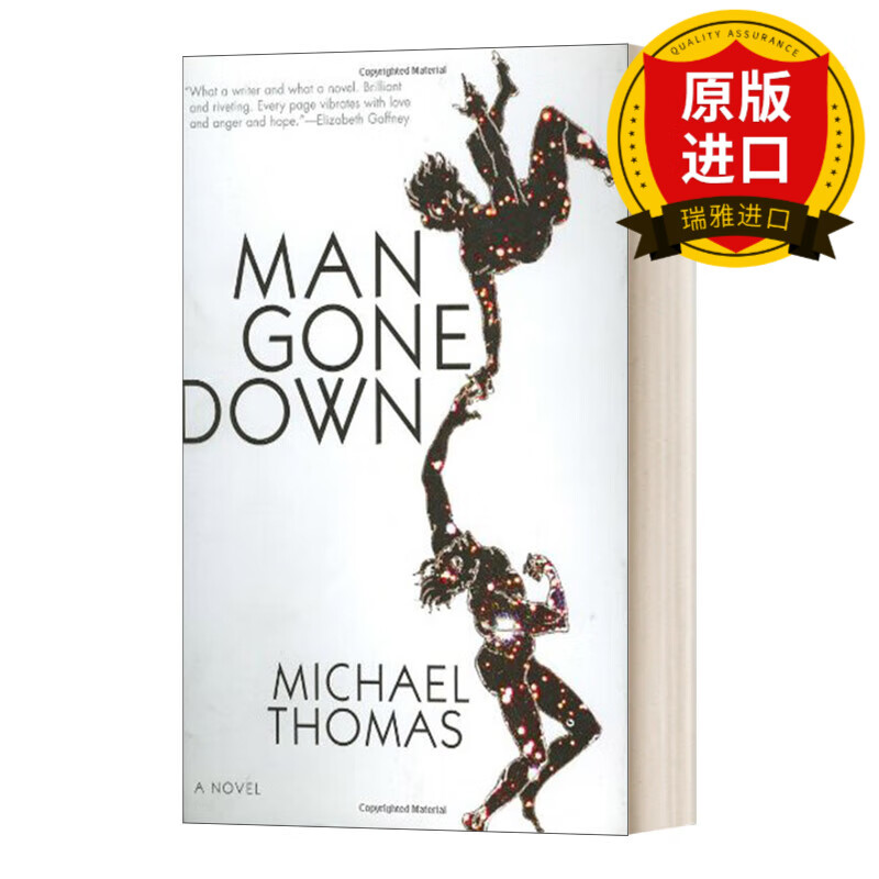 英文原版小说 Man Gone Down 坠落的人 英文版 进口英语原版书籍