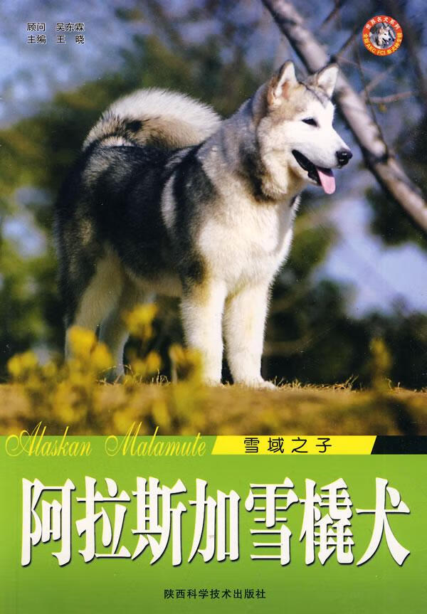 阿拉斯加雪橇犬:雪域之子 家居 吴东霖 陕西科学技术出版社 9787536943490 书籍