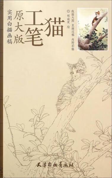 实用白描画稿：工笔猫原大版