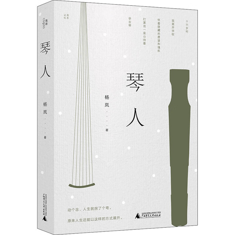 琴人 杨岚 书籍