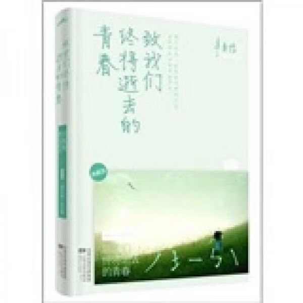 致我们终将逝去的青春：典藏版9787539943824