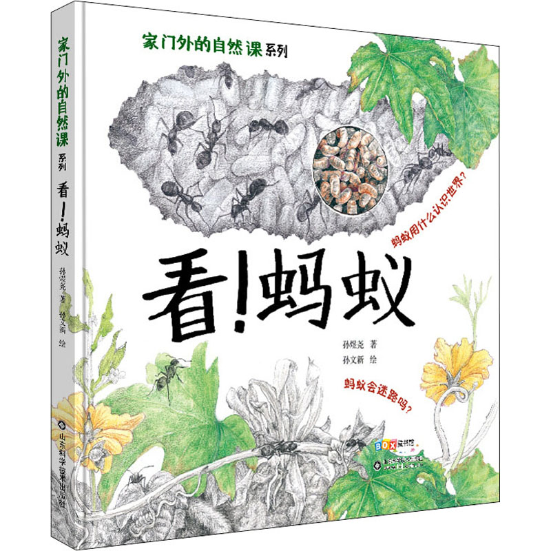看!蚂蚁 孙煜尧 著 孙文新 绘 绘本