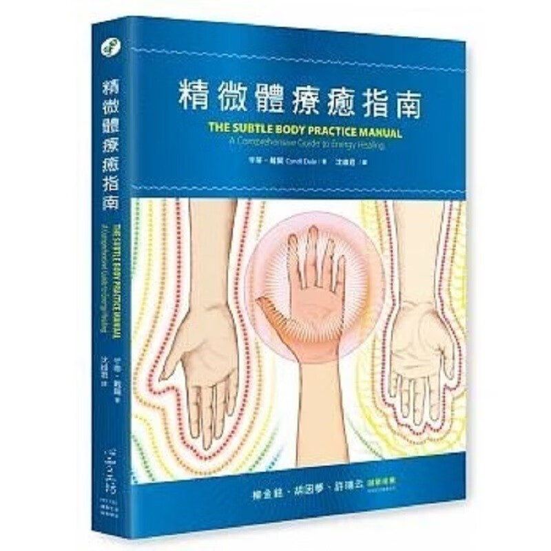 精微体疗愈指南 辛蒂.戴尔（Cyndi Dale） 西方心理学