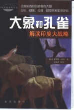 大象和孔雀-解读印度大战略