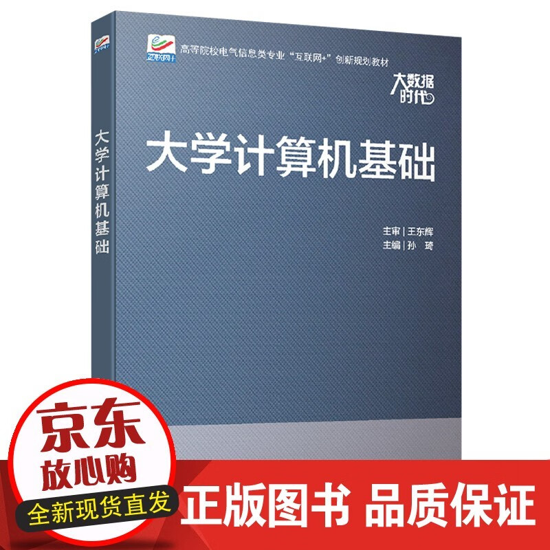 大学计算机基础 孙琦