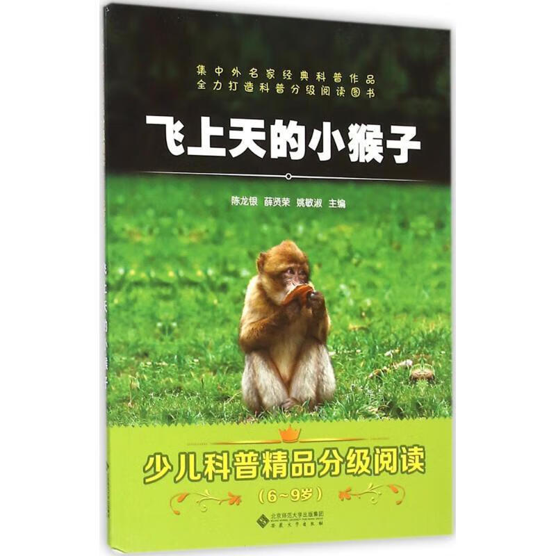 飞上天的小猴子