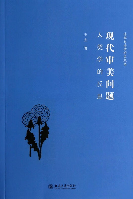 现代审美问题(人类学的反思)/诗学与美学研究丛书