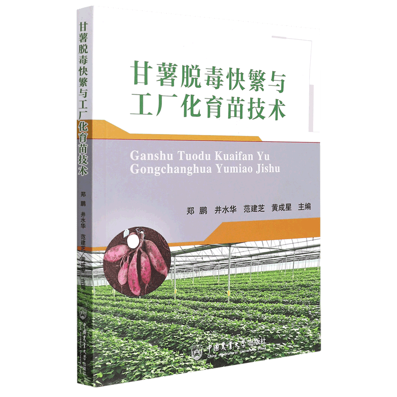 甘薯脱毒快繁与工厂化育苗技术