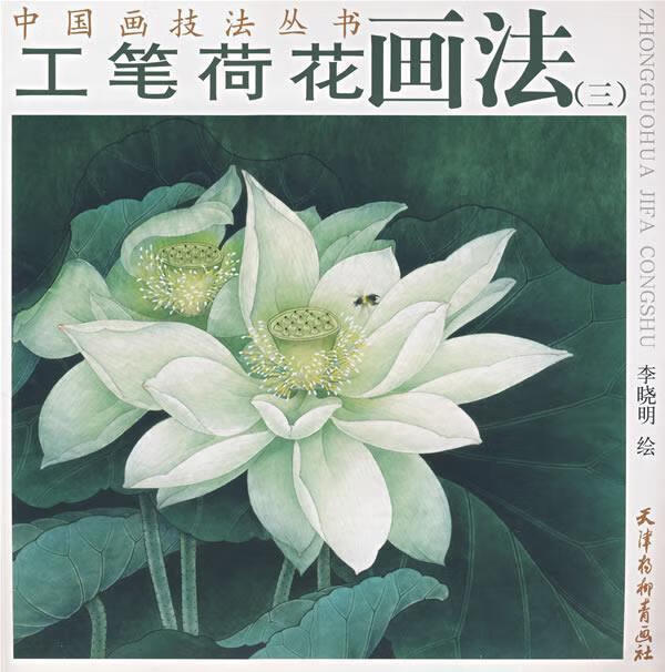 工笔荷花画法 李晓明 绘