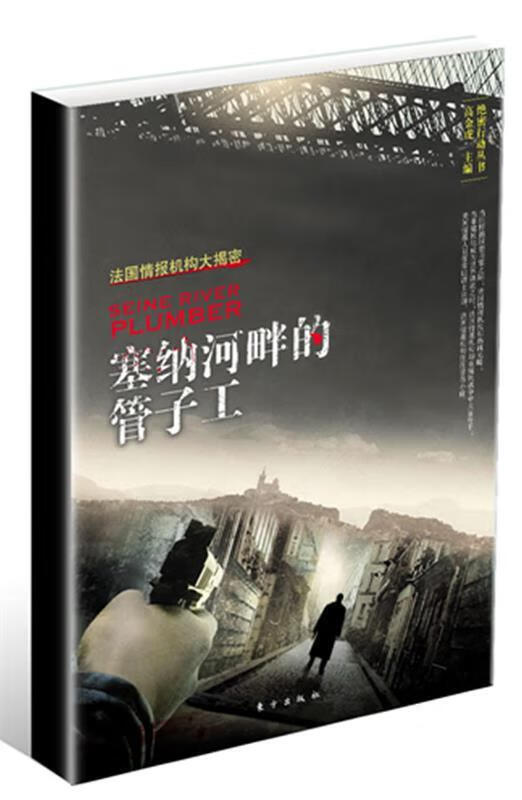 塞纳河畔的管子工 高金虎编