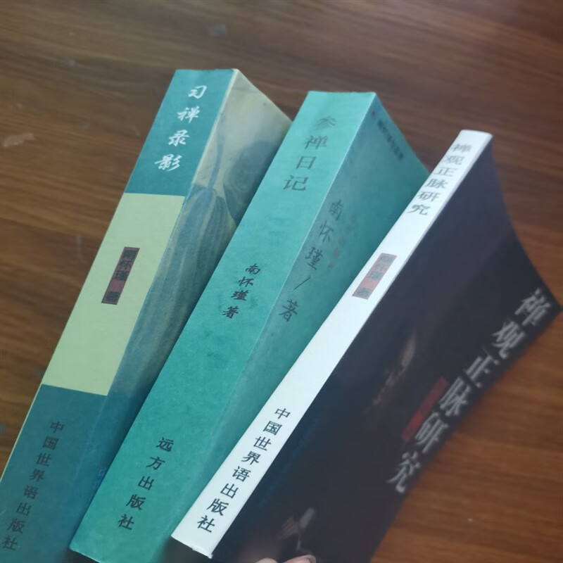 现货 南怀瑾经典三部 参禅日记 习禅录影 禅观正脉研究 南师说禅