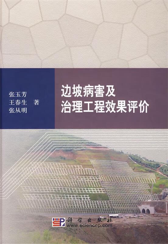 边坡病害及治理工程效果评价 张玉芳,王春生,张从明著 9787030257024