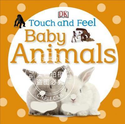 现货 宝宝触摸书 DK系列 英文原版 Touch and Feel Baby Animal