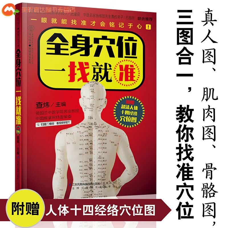 全身穴位一找就准经络穴位按摩大全人体穴位图书中医养生人体经络穴位书籍养生穴位按摩书经络穴 普通款 穴 普通款