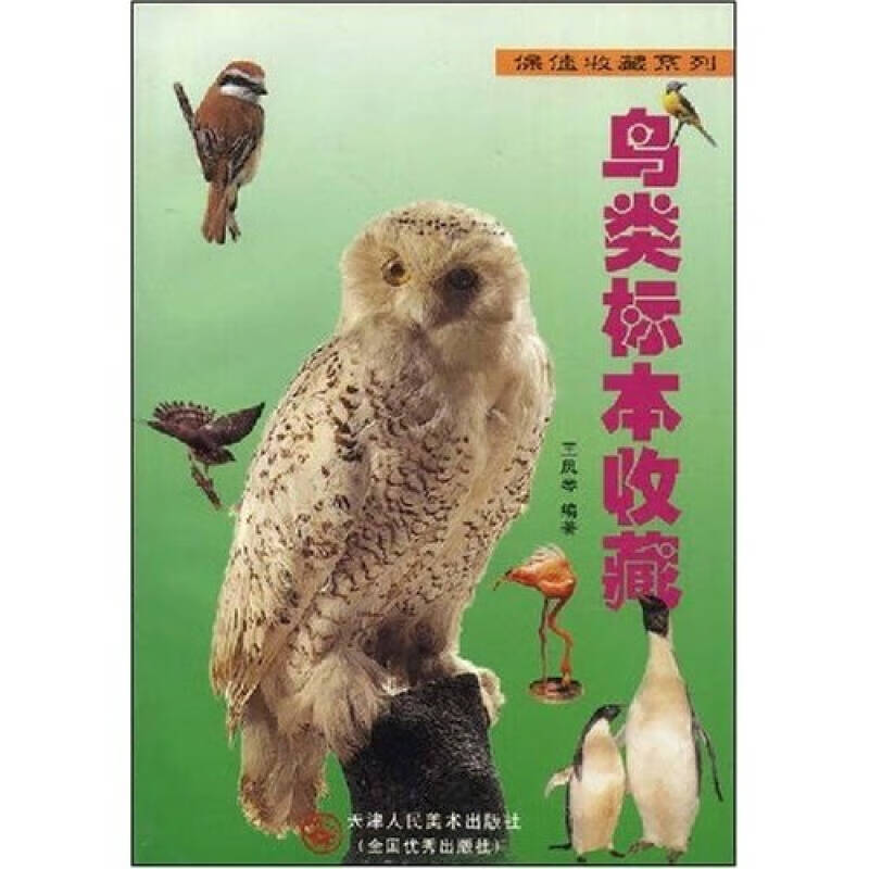 鸟类标本收藏