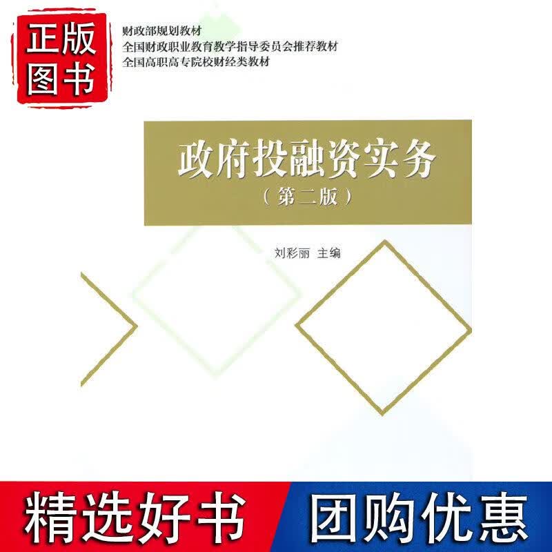 政府投融资实务（第二版）