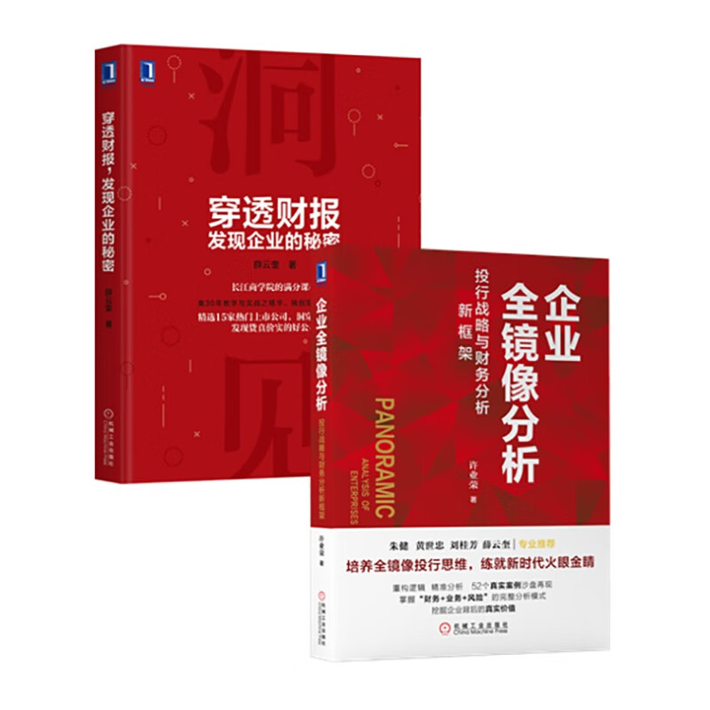 穿透财报+企业全镜像分析 （套装共2册）