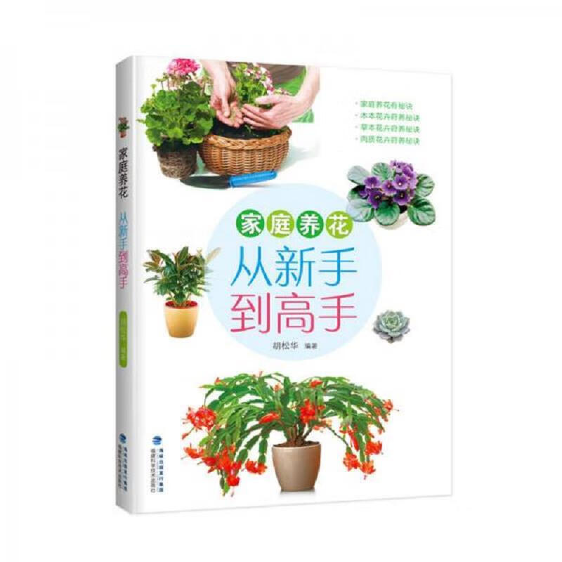 福建科学技术出版社胡松华家庭养花 从新手到高手9787533553043
