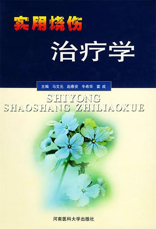 实用烧伤治疗学