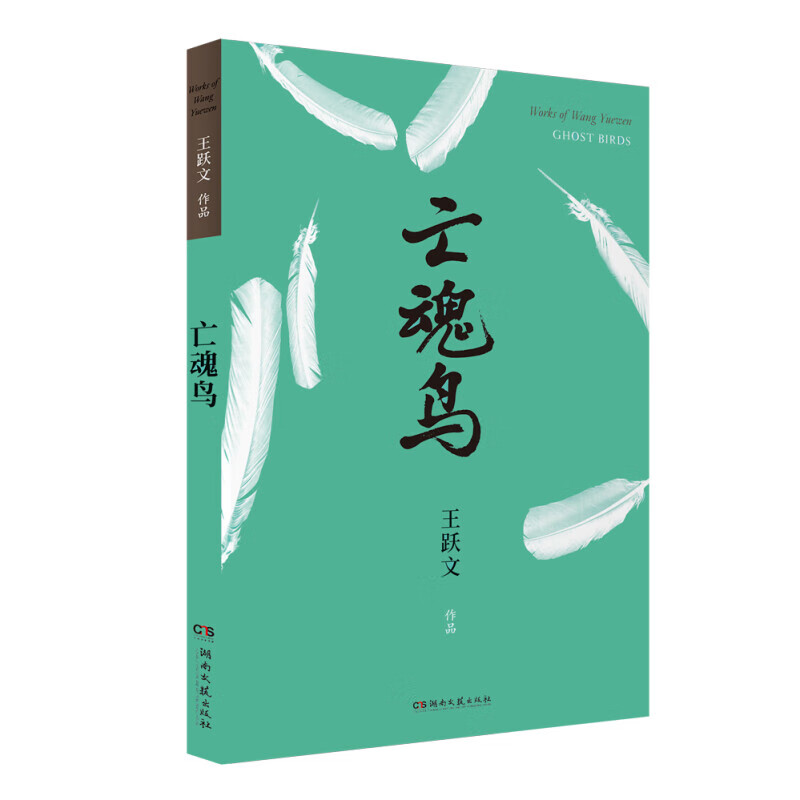 【系列自选】 亡魂鸟