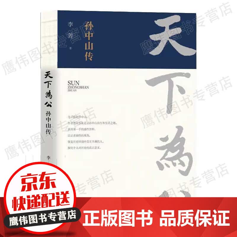 天下为公 : 孙中山传