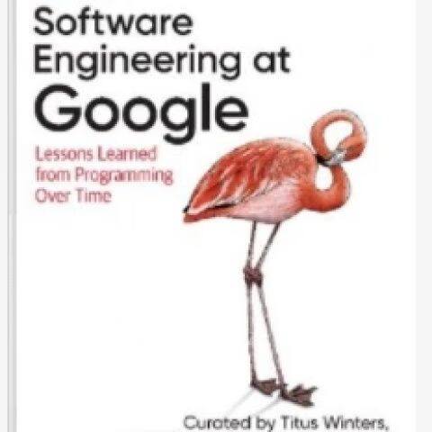 Software Engineering at Google: Lessons Learned高清