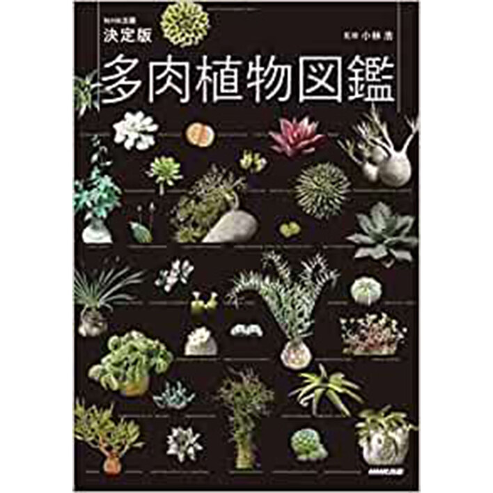 现货 日本NHK出版 決定版 多肉植物図鑑 多肉植物物种和品种图书