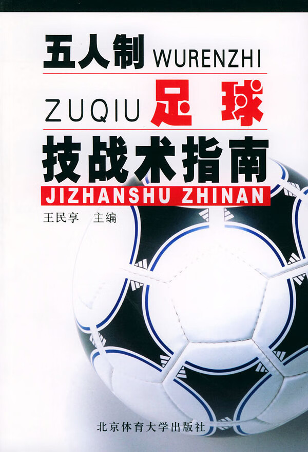 五人制足球技战术指南 王民享 主编