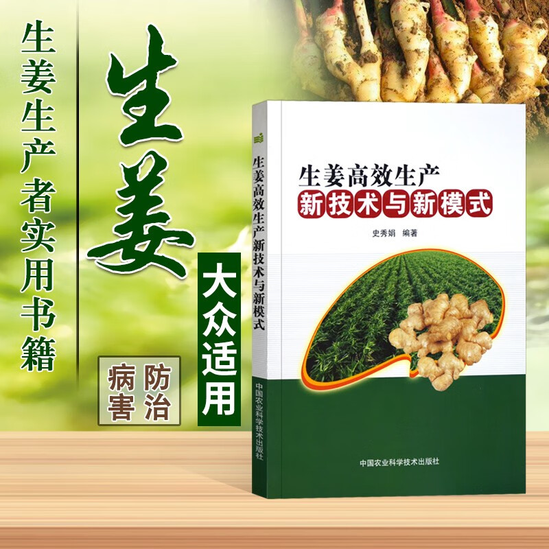 生姜高效生产新技术与新模式 图说生姜栽培生姜种植书籍 生姜高效栽培技术大全书 生姜大棚栽培技术指导生姜病虫害防治技术大全书籍