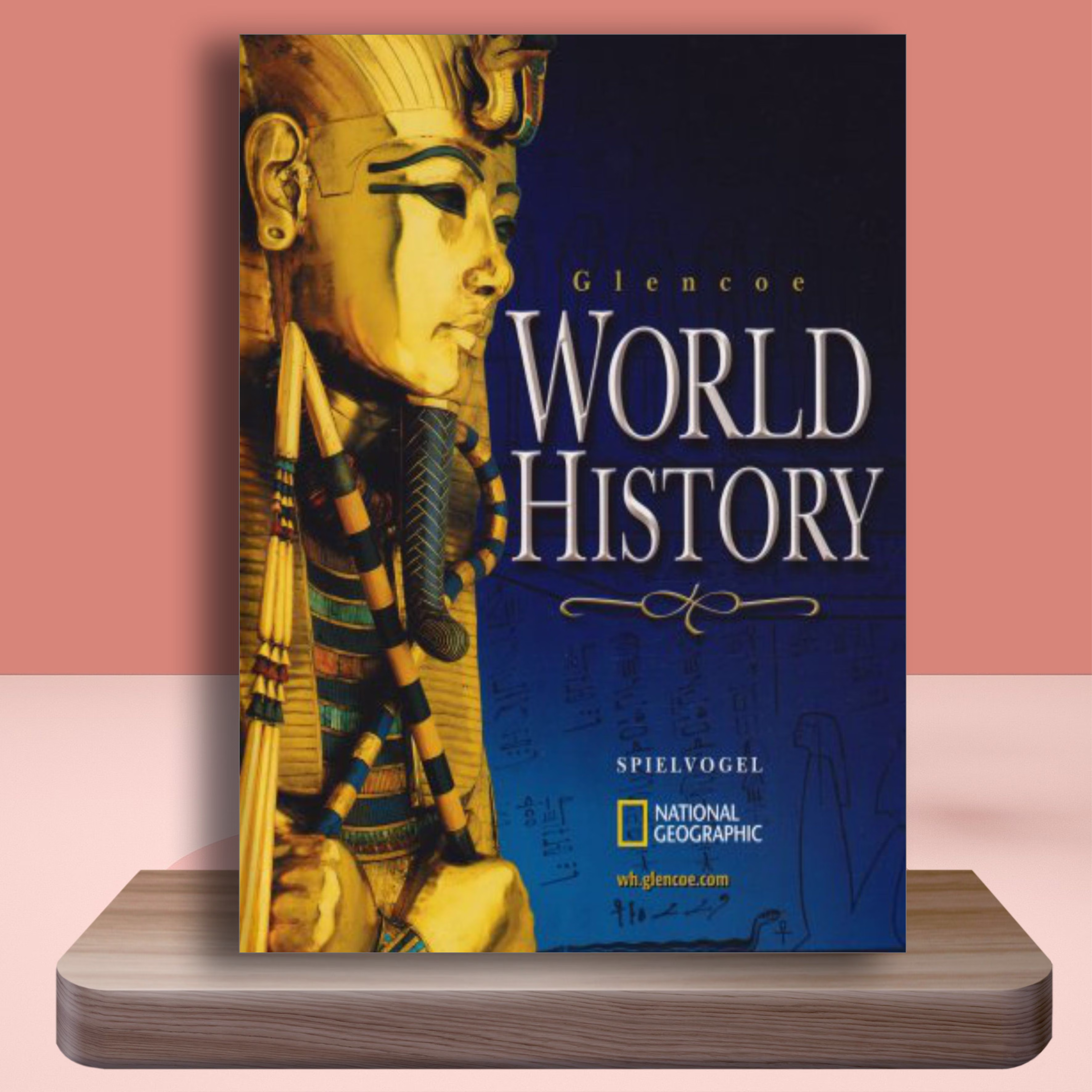 全彩现货/Glencoe World History 2nd Edition 纸质书 彩色纸质书