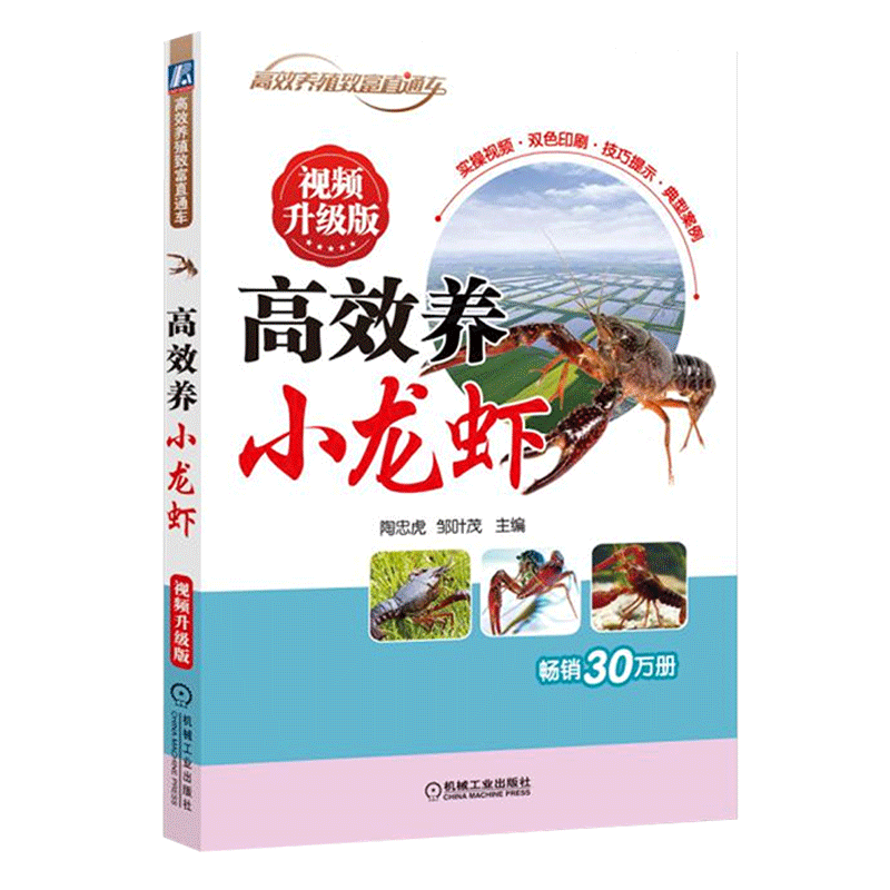高效养小龙虾 视频升级版