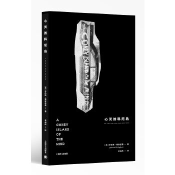 心灵的科尼岛