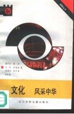 文化:风采中华9787531508946