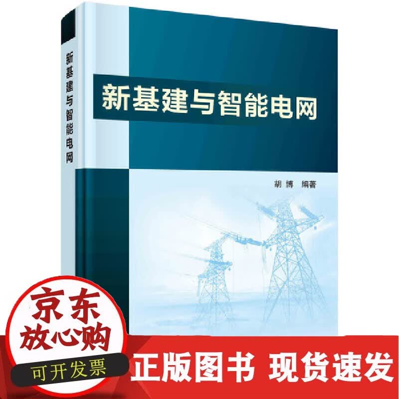 C 书籍 新基建与智能电 胡博科学出版社9787030731791