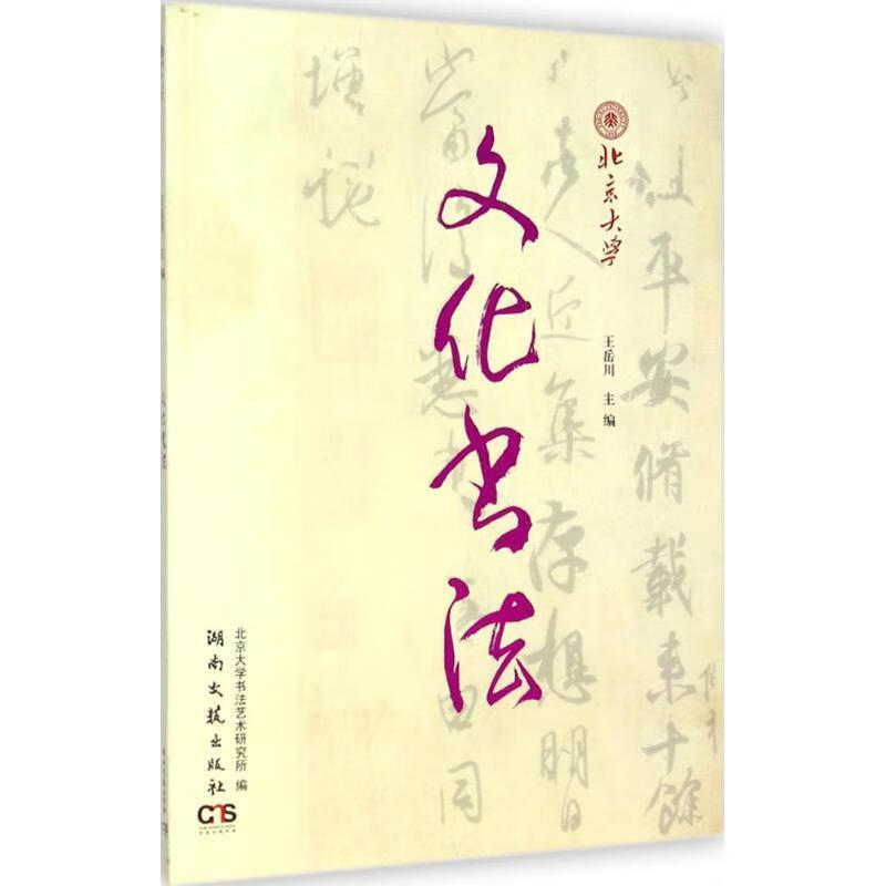 文化书法 王岳川
