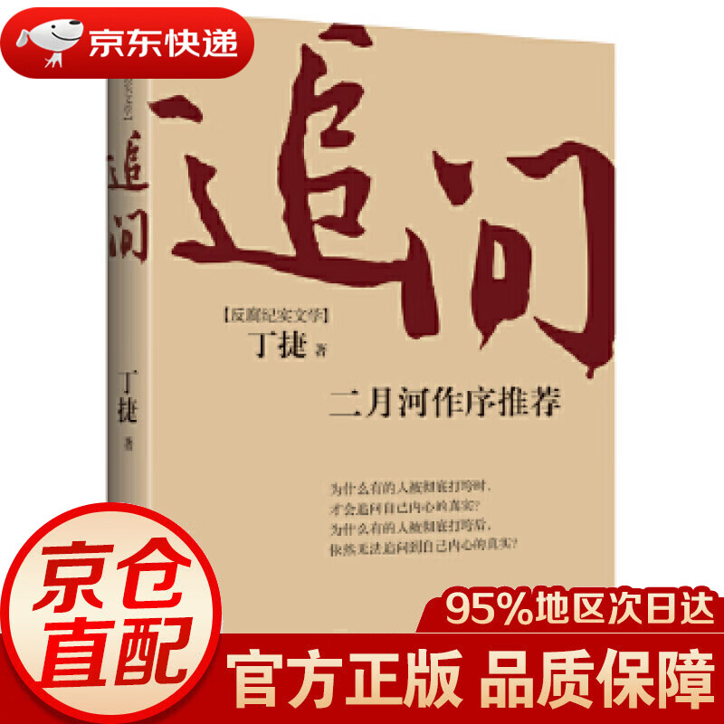 【 】追问 丁捷 著 中共中央党校出版社 电视剧狂飙姊妹篇 反腐纪实文学 从严治党背景下的反腐警示录