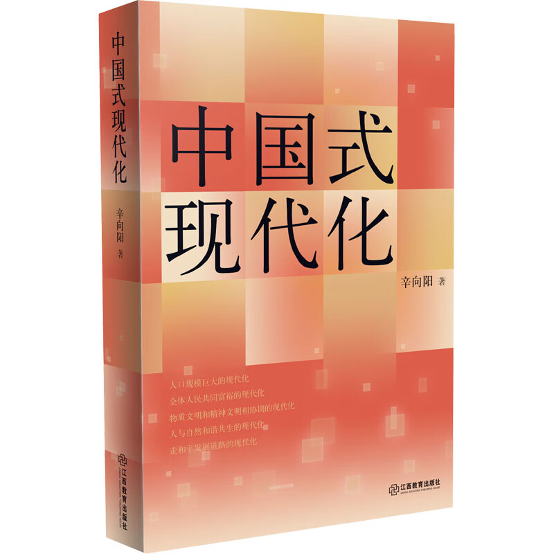 中国式现代化 辛向阳 书籍
