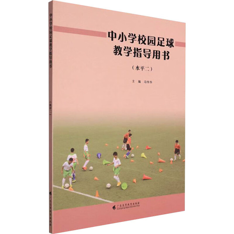 中小学校园足球教学指导用书(水平2) 图书