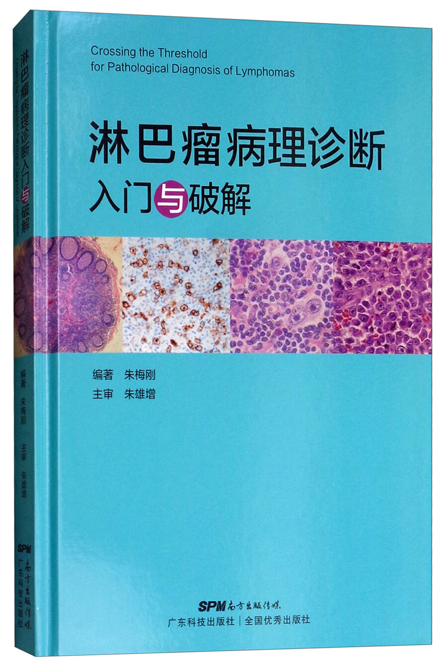 【书】淋巴瘤病理诊断入门与突破