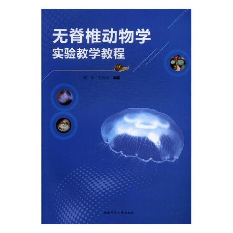 现货全新 无脊椎动物学实验教学教程 戴国 湖南师范大学出版社 9787564835125