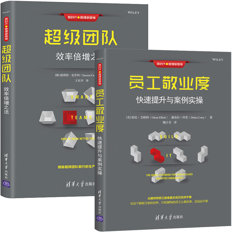 包邮 员工敬业度 快速提升与案例实操+团队 效率倍增之法 敬业度桥梁员工队伍组织管理培训书籍建立