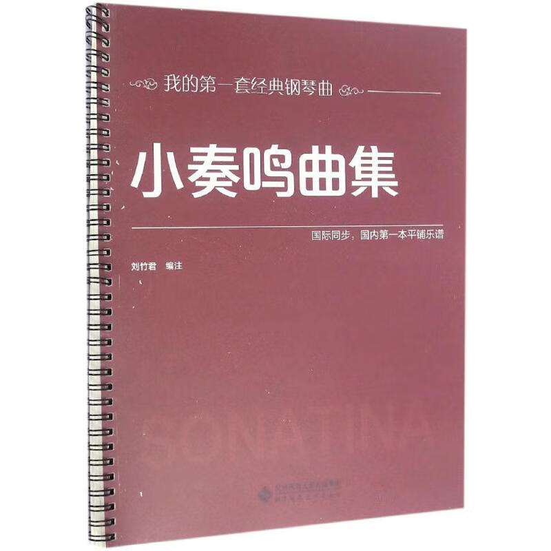 小奏鸣曲集 刘竹君 编注  书籍