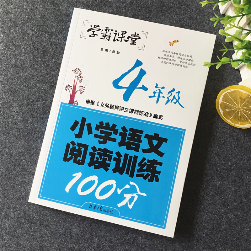 学霸课堂四年级小学生语文阅读理解训练100分人教版小学语文4年级阅读理解训练习题语文诗歌阅读专项练习册课