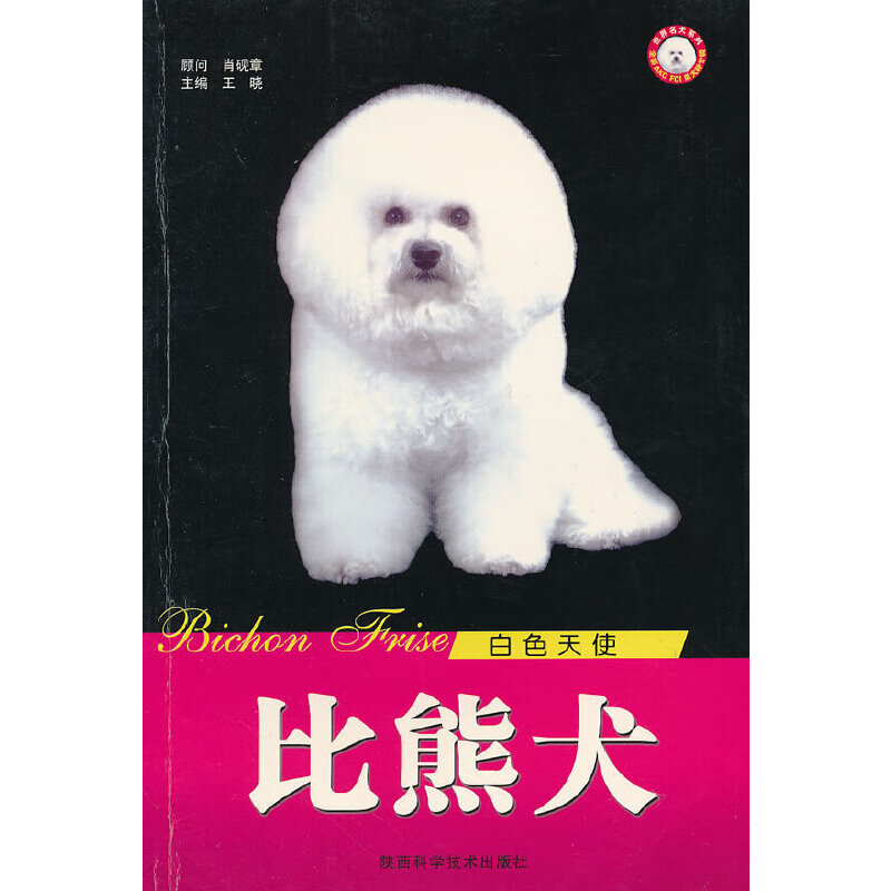 白色天使比熊犬/世界名犬系列