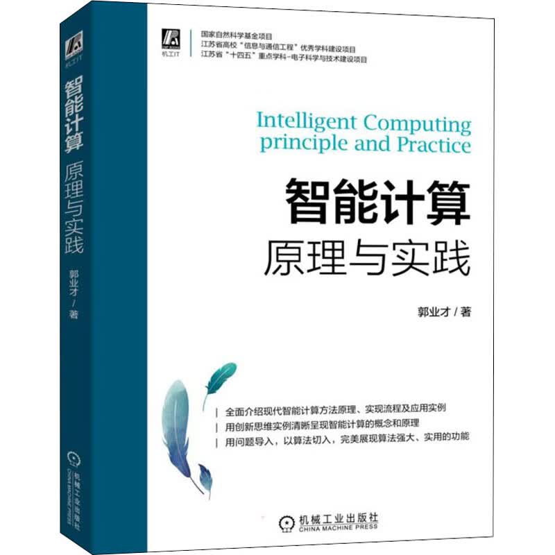智能计算 原理与实践 图书