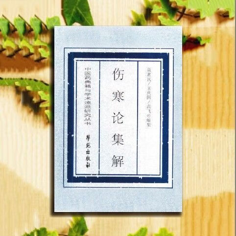伤寒论集解 历代医家伤寒论注解辑要 聂惠民,王庆国等编集2001