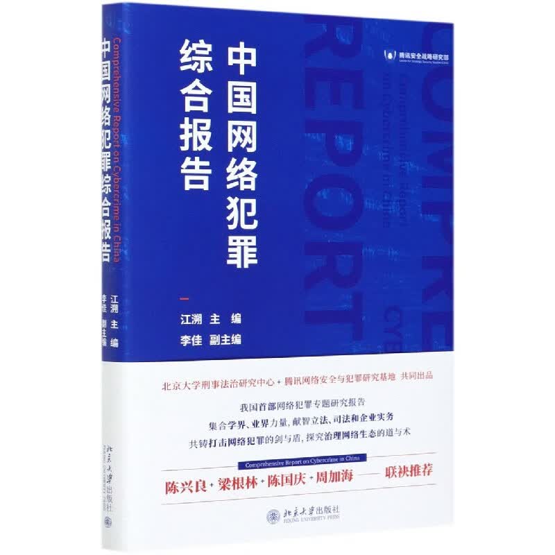 中国网络犯罪综合报告(精)