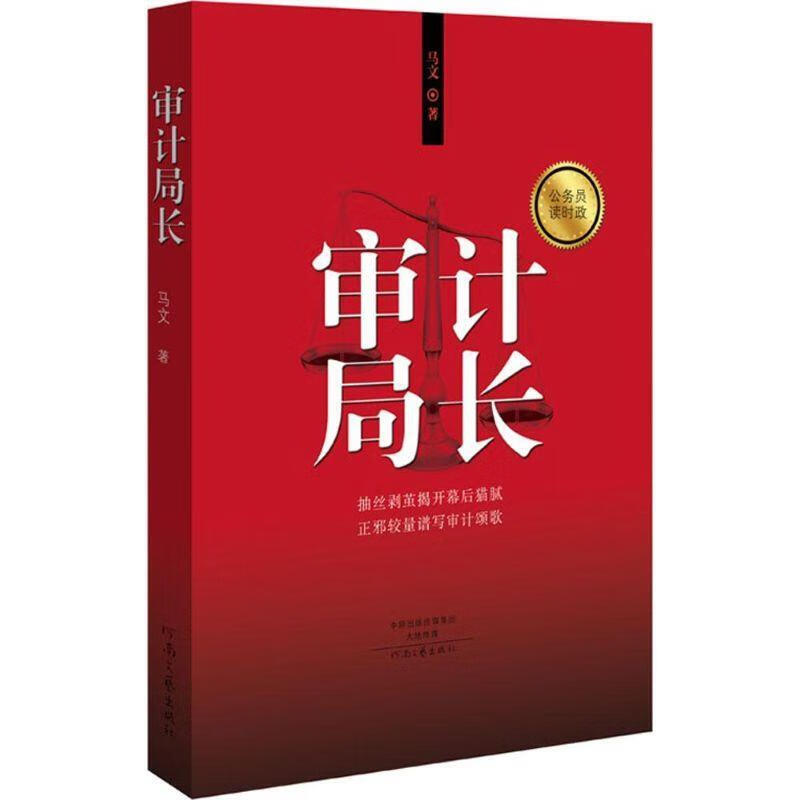 审计局长 马文 著
